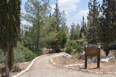 תמונות של קטגוריות - Photour